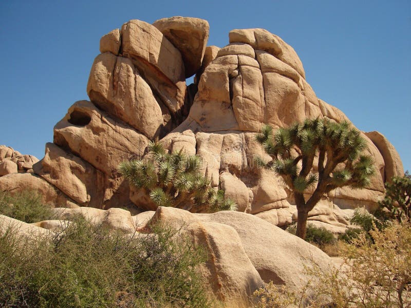 Monzonite Rocks stock image. Image of tree, american, trees - 3452749