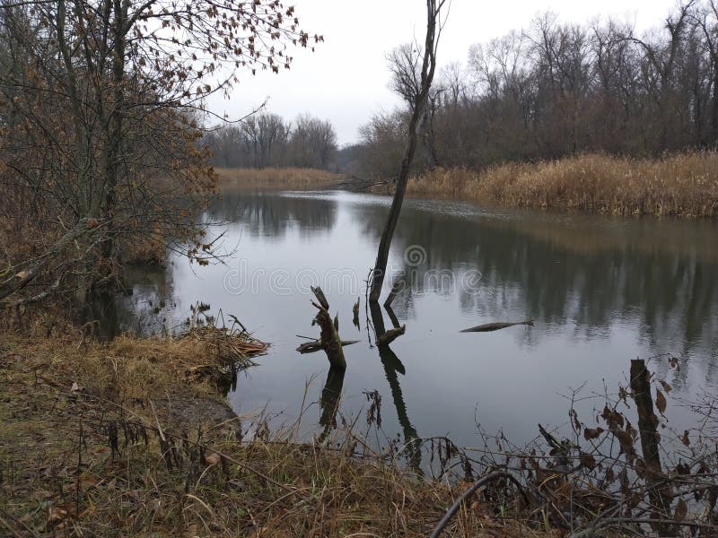 Moody autumn landscape stock image. Image of beautiful - 177475573
