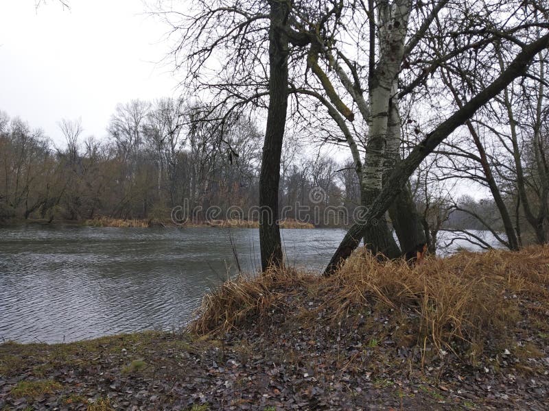Moody autumn landscape stock photo. Image of grass, water - 177474010