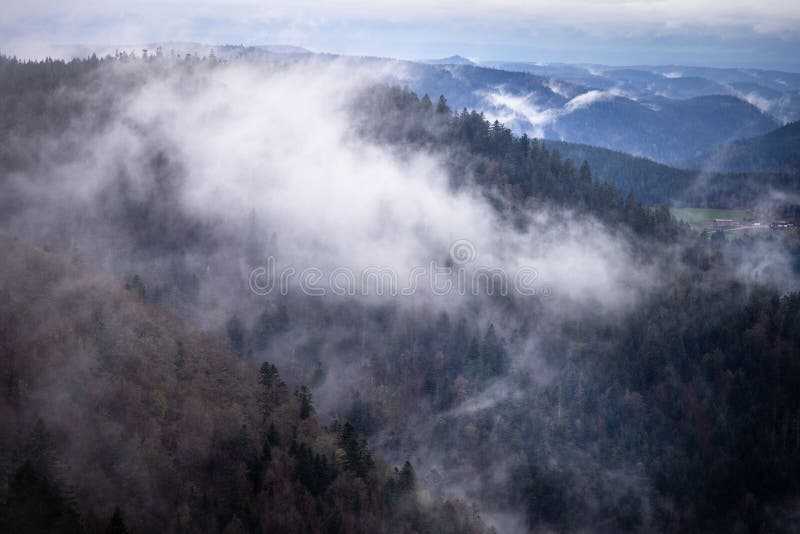 Moody, Cloudy Sky with a Row of Silhouetted Trees and a Foggy Mist ...