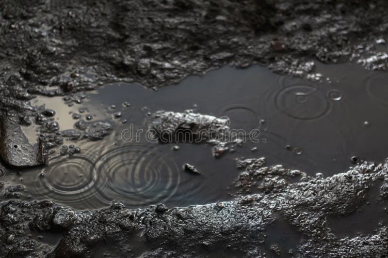 502 Mud Droplet Stock Photos - Free & Royalty-Free Stock Photos from ...