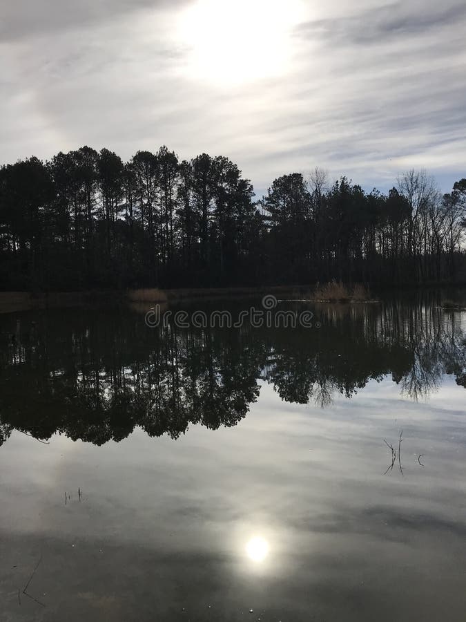 Moody Dusk Silhouette Reflection of Tree Line Landscape Stock Image ...