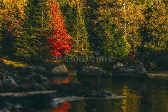 Moody fall stock photo. Image of trees, season, police - 99527754