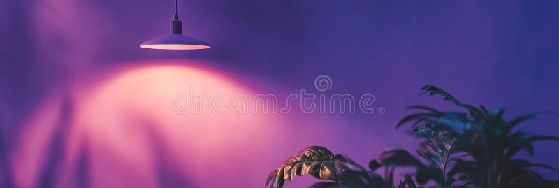 Moody Interior Scene with Purple Wall and Ambient Lighting for Modern ...