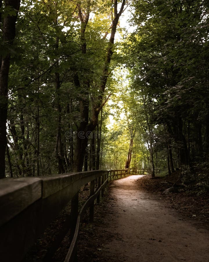 Moody Nature Walking Path with Nature Spotlight. Wooden Railing Guiding ...