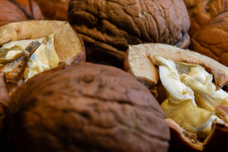 Composition with Nuts Cones Tasty Stock Image - Image of vegetable ...