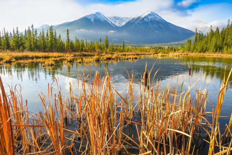 Prachtig Canadees Landschap, Alberta, Canada Stock Afbeelding - Image ...