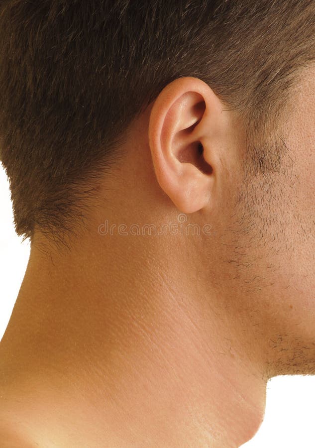 Oor stock afbeelding. Image of menselijk, auriculum, gezond - 5901653