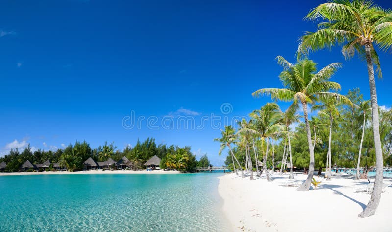 Mooi strand op Bora Bora stock foto. Image of rustig - 26814646