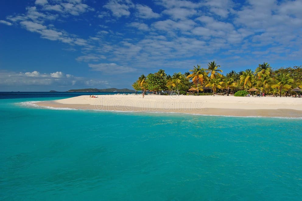 Mooi Strand Op Het Eiland Van De Palm Stock Foto - Image of schoonheid ...