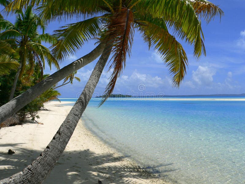 Mooi strand stock foto. Image of mooi, klimaat, strand - 14995000