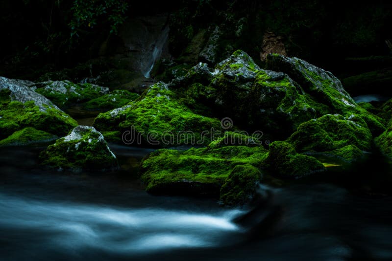 Mooie Groen En Beek Van Het Regenwoud Stock Afbeelding - Image of ...