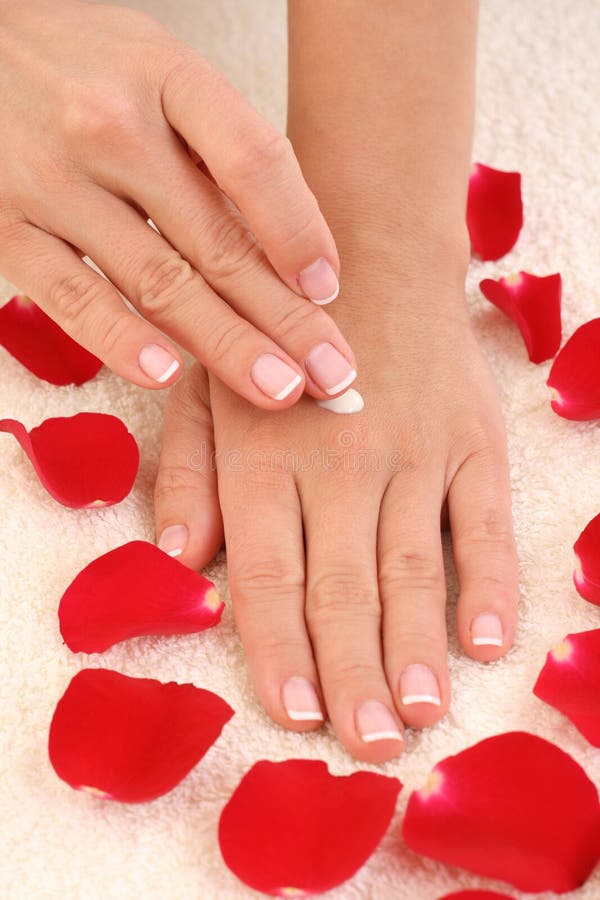 Mooie handen stock afbeelding. Image of bloem, behandeling - 4221481