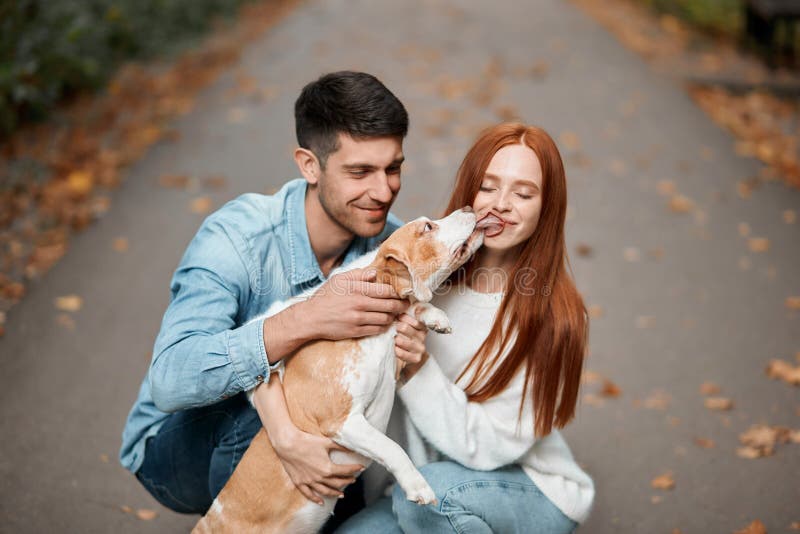Mooie Hond Die Een Gembervrouw in De Openlucht Likt Stock Foto - Image ... Mooie Hond Die Een Gembervrouw in De Openlucht Likt Stock Foto - Image ...