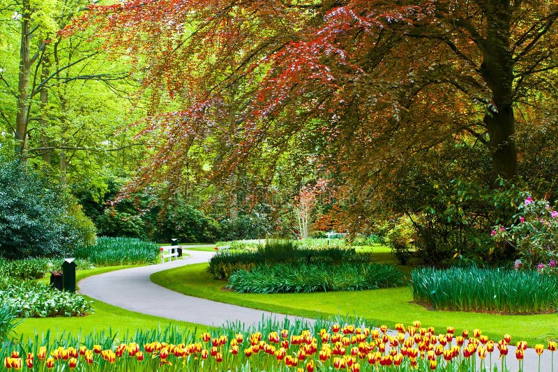 Prachtig Keukenhof Lentetuin Stock Foto - Image of flora, weide: 37489340