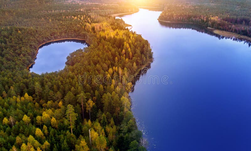 Mooie Meren En Bossen Van Finland Stock Foto - Image of groen, riet ...