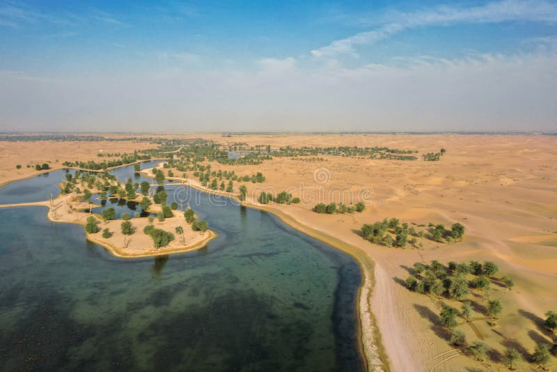 Mooie oase in de woestijn stock foto. Image of duinen - 129939760