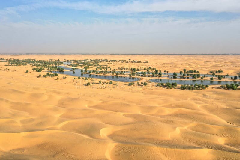 Mooie oase in de woestijn stock foto. Image of duinen - 129939760