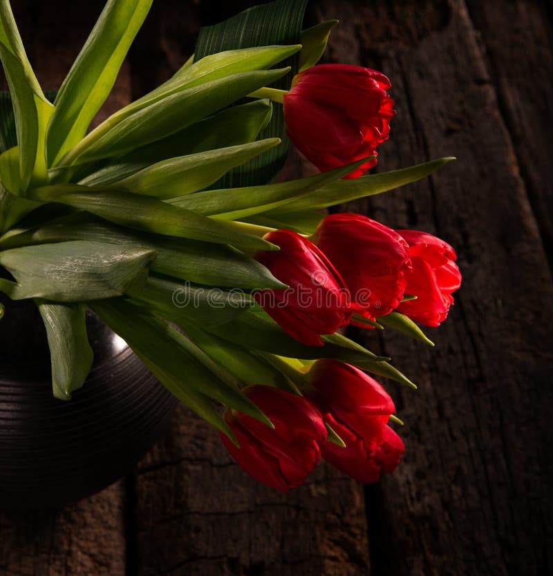 Mooie Rode Tulpen in Zwarte Vaas Stock Foto - Image of tulpen, vaas ...