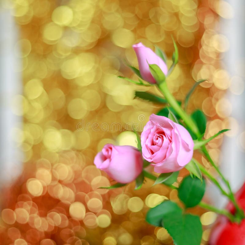 Mooie Roze Rozen En Bokeh Achtergrond Stock Afbeelding - Image of ...
