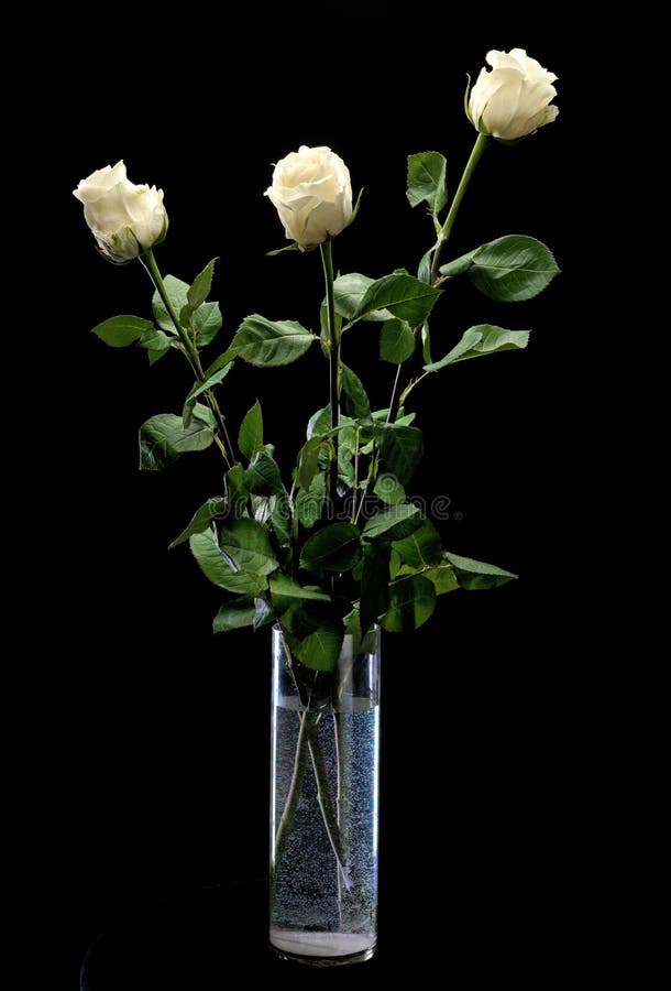 Mooie witte rozen in vaas stock foto. Image of plantkunde - 38671358