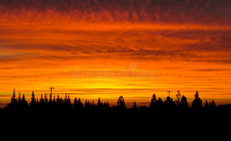 Mooie Zonsondergang in Het Bos Stock Afbeelding - Image of wolk, stad ...