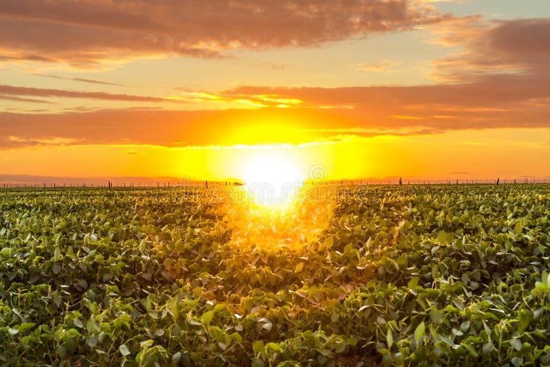 Mooie Zonsopgang in Het Platteland Stock Afbeelding - Image of tafereel ...