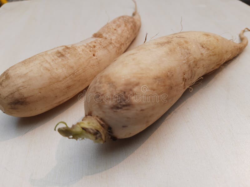 Mooli, Daikon or Daikon Radish Vegetable is the Most Common. Stock ...