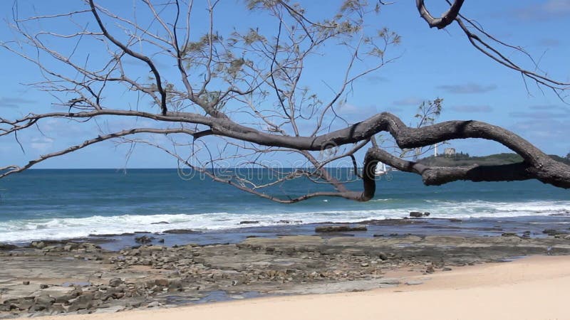 Mooloolaba 11 stock video. Video of australia, branches - 36935686