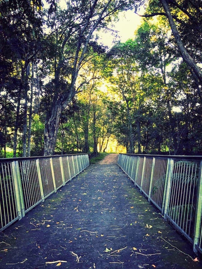 Mooloolah Valley Bridge Queensland Australia Stock Photo - Image of ...