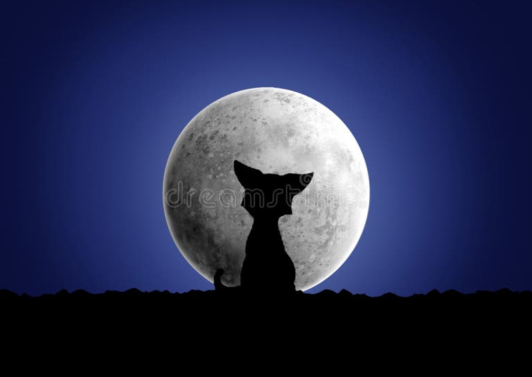 Ears Moon Stock Illustrations – 1,360 Ears Moon Stock Illustrations, Vectors & Clipart - Dreamstime