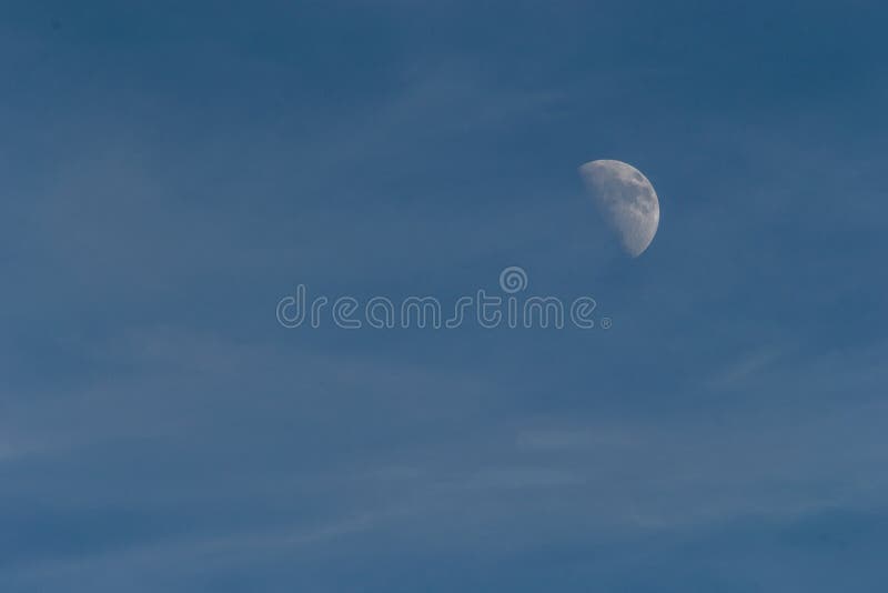 The moon on the afternoon stock image. Image of faune - 140182679
