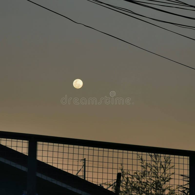 Moon in the Afternoon stock photo. Image of dusk, afternoon - 219239984