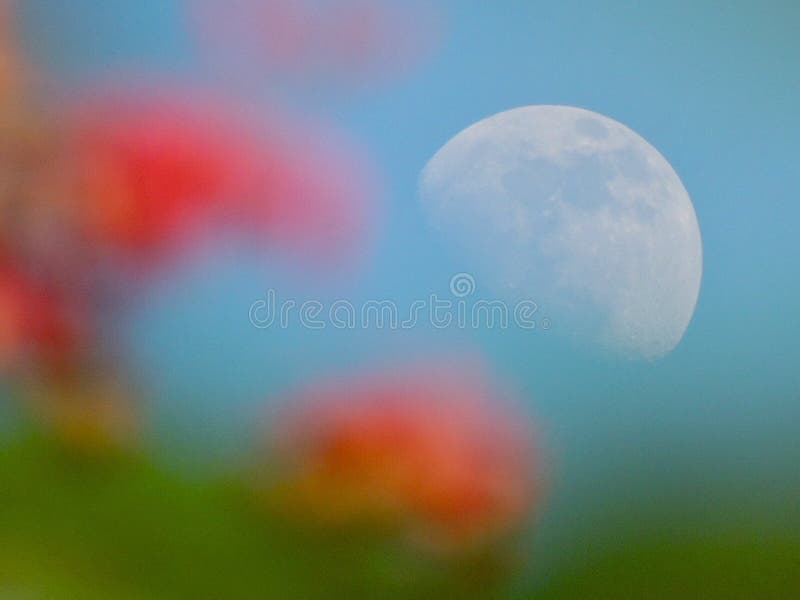 The moon in the afternoon stock photo. Image of moon - 100536530