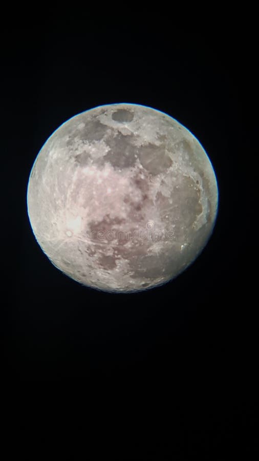 Private Parts's Stock Photos - Free & Royalty-Free Stock Photos from ...