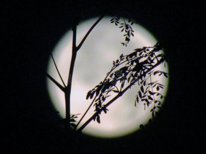 Midnight View of Mt. Fuji in Japan Near Kawaguchiko Stock Image - Image ...