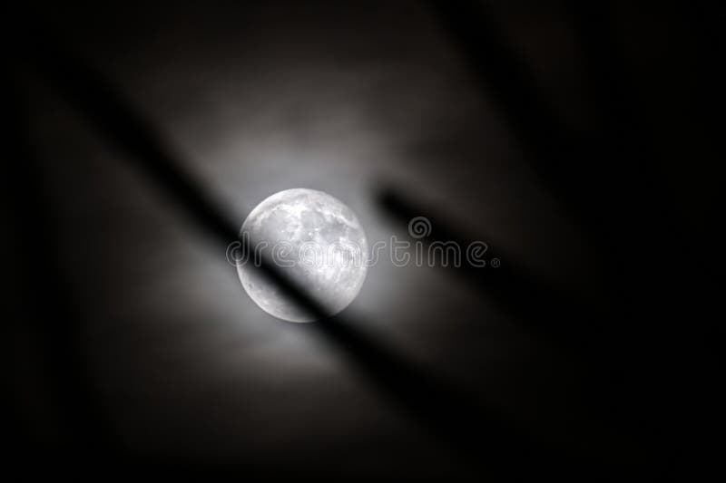Moon with Backlit Twigs in the Foreground Stock Photo - Image of ...