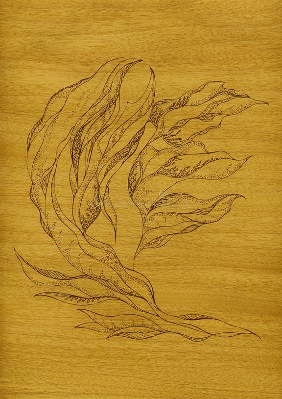 Moon bathing stock illustration. Illustration of blossom - 14509644