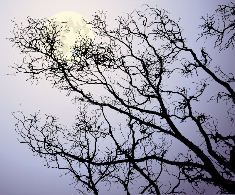 The Moon Behind Tree Branches Stock Vector - Illustration of background ...