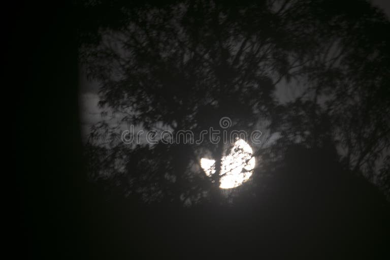 Moon Behind the Tree , at Night Stock Image - Image of tree, space ...
