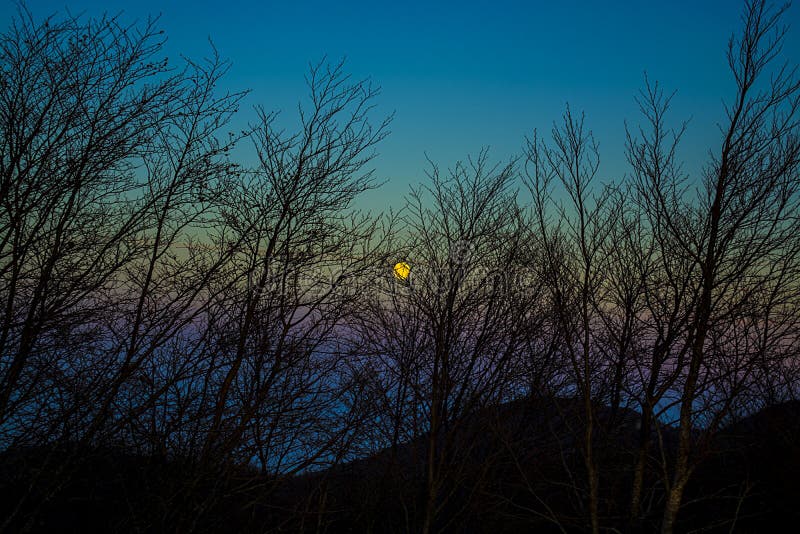 The MOON BEHIND the TREES stock photo. Image of mountain - 106632072