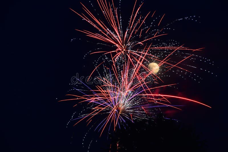 Short Fireworks Stock Photos - Free & Royalty-Free Stock Photos from ...
