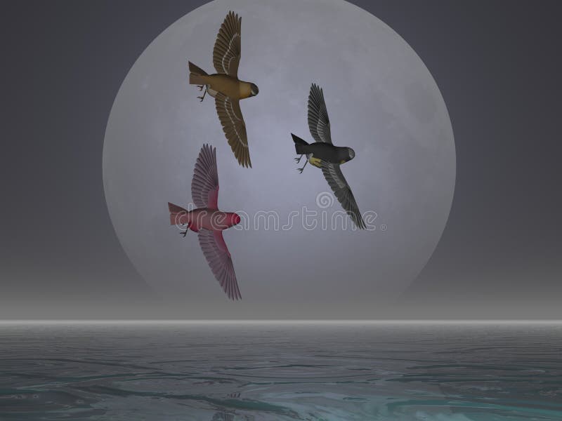 Moon Birds stock illustration. Illustration of drink, creature - 655569