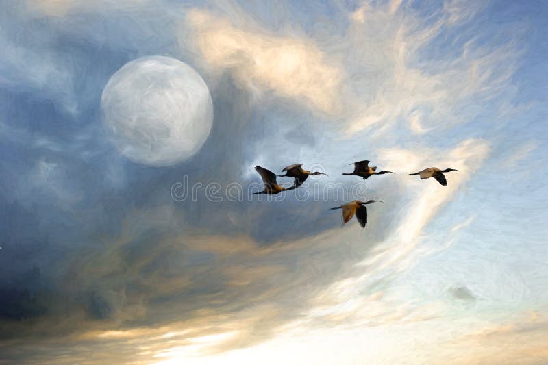 Moon Birds Clouds stock photo. Image of cloudscape, blue - 188789632