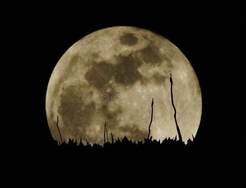 938 Blurry Moon Stock Photos - Free & Royalty-Free Stock Photos from ...