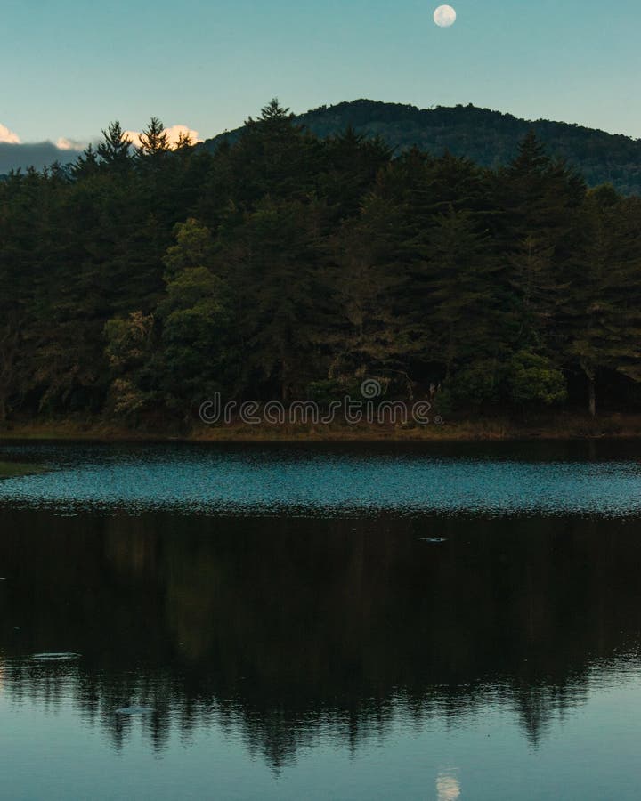 Moon Blue in a Lake with Trees and Sunset Stock Photo - Image of sunset ...