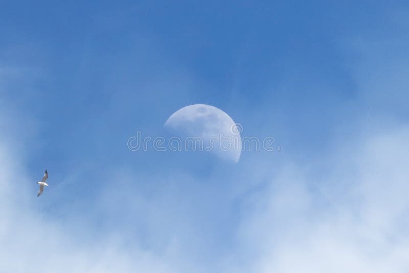 Moon in the blue sky stock image. Image of astrology - 273511321