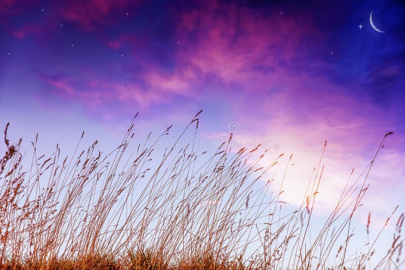 Sunset and new moon stock photo. Image of nature, eclipse - 240718674