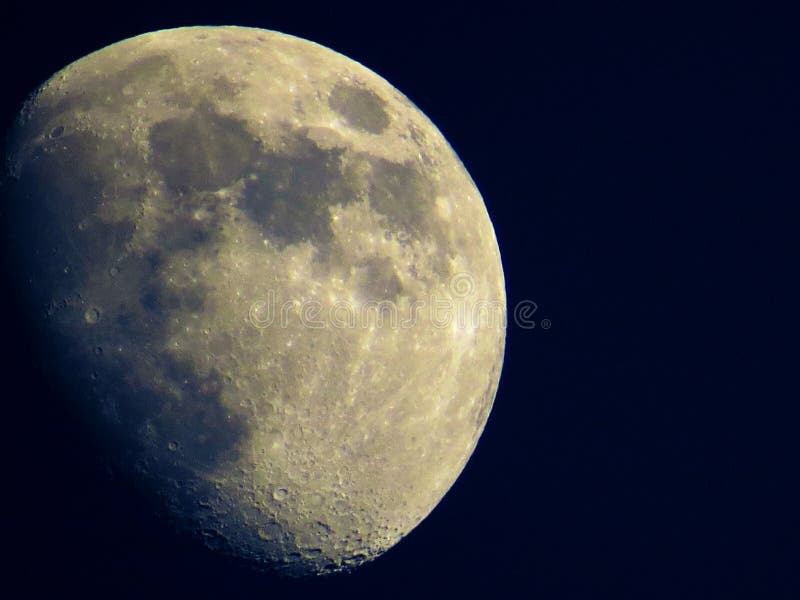Close Up of Magnificent Scarlet Macaw, Costa Rica Stock Photo - Image ...