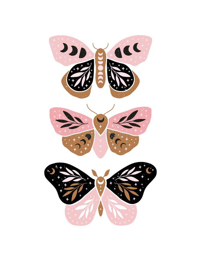 Moon Butterfly Vector Illustration. Stock Vector - Illustration of ...